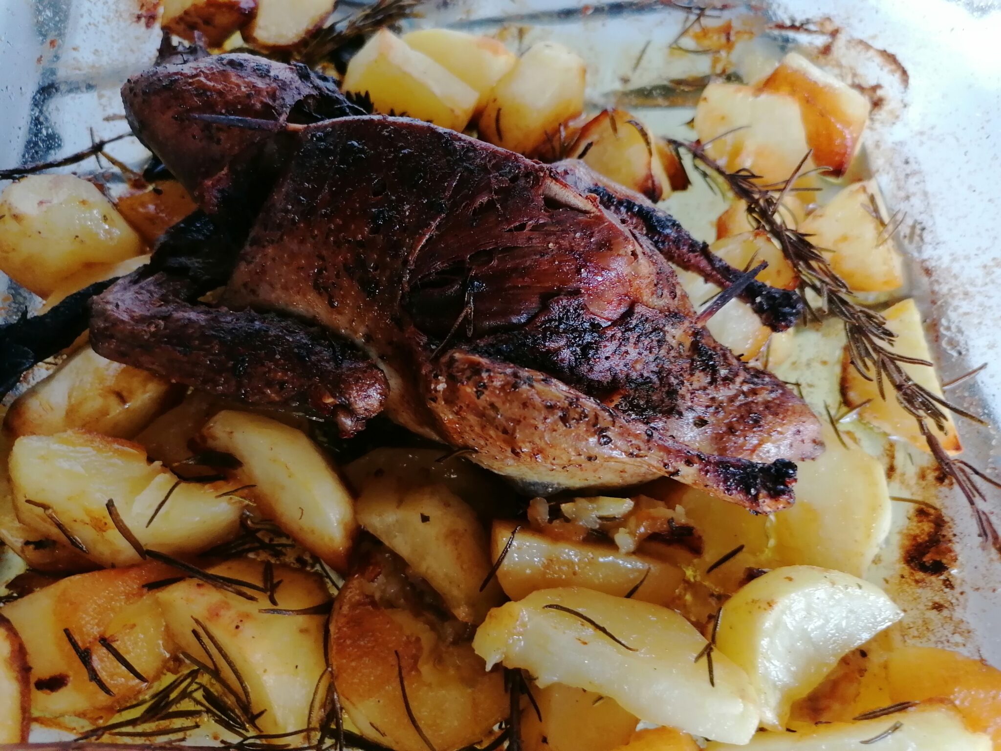 Piccione ripieno arrosto – Cucina italiana